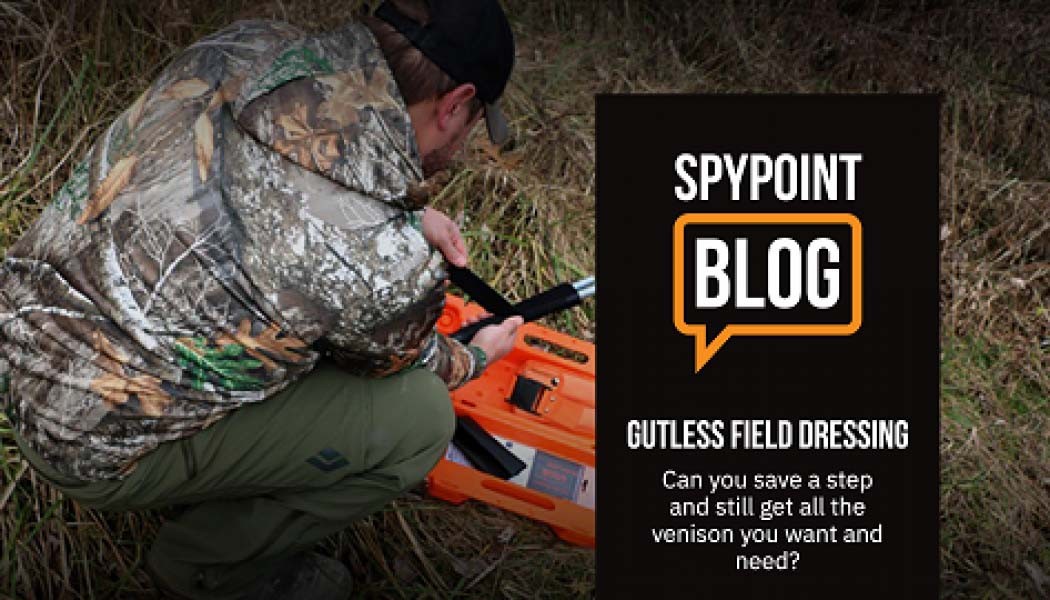 Sites-spypoint_us-Site